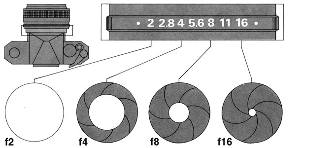 Behind the Lens: Three functions control camera exposure | News, Sports ...